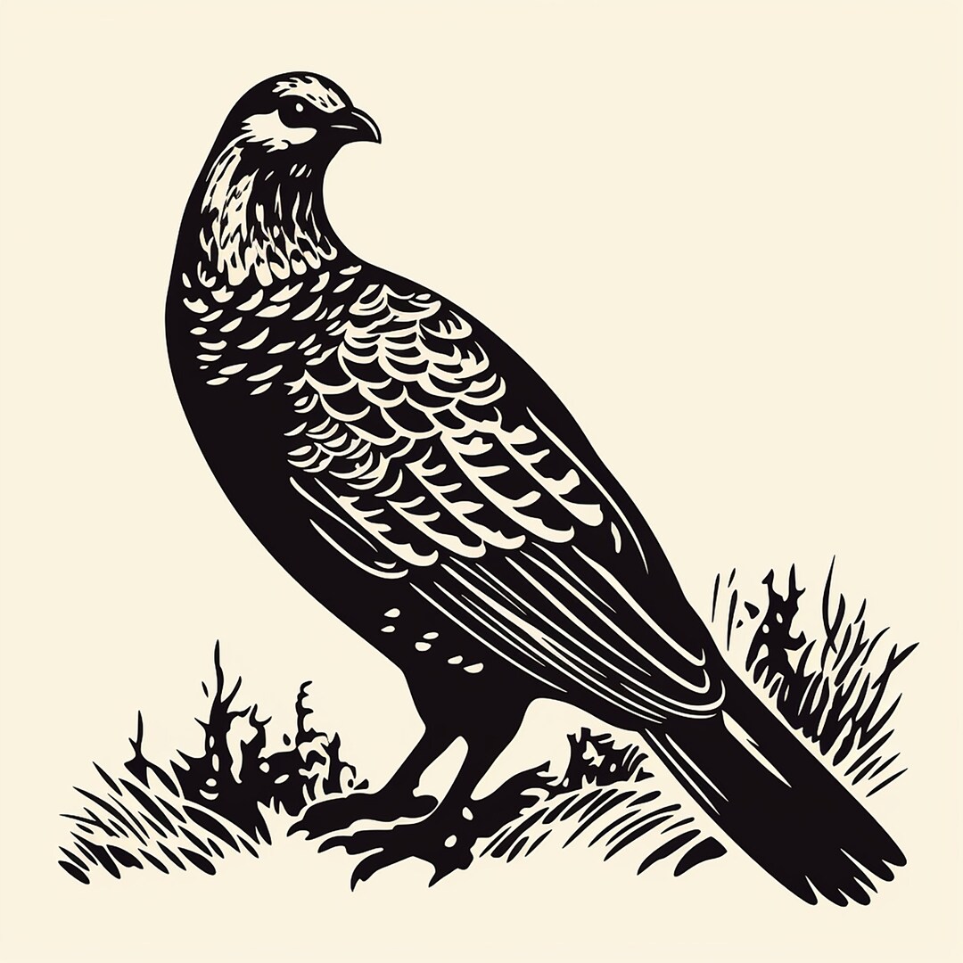 Grouse Black Line Art: Wildlife Bird Illustration (PNG, JPEG) - Etsy