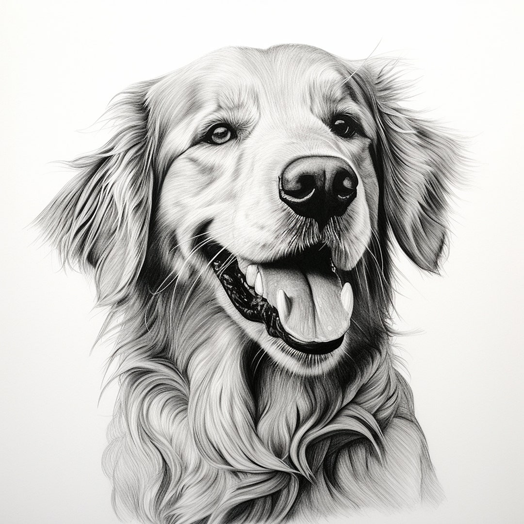 Golden Retriever Fine Pencil Line Pet Portrait, Printable Commercial ...