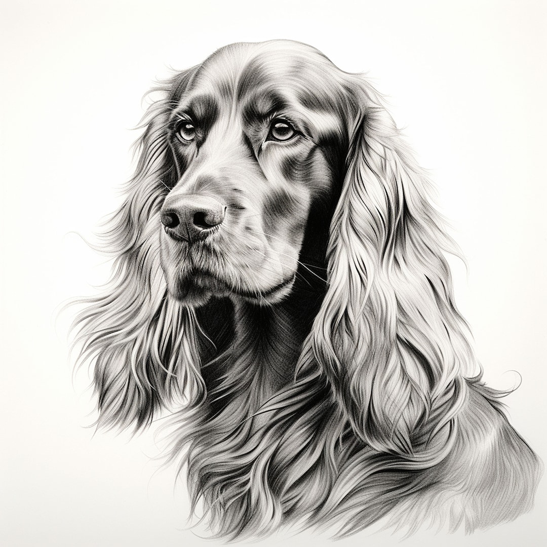 Irish Setter Pet Portrait, Printable Dog Illustration for Sticker ...