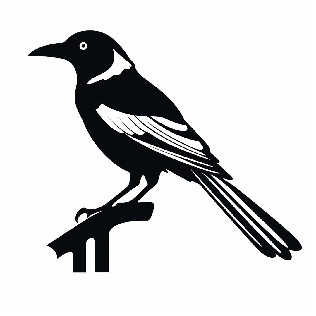 Magpie Clip Art Illustration, Printable Wldlife Bird Decal for Sticker ...