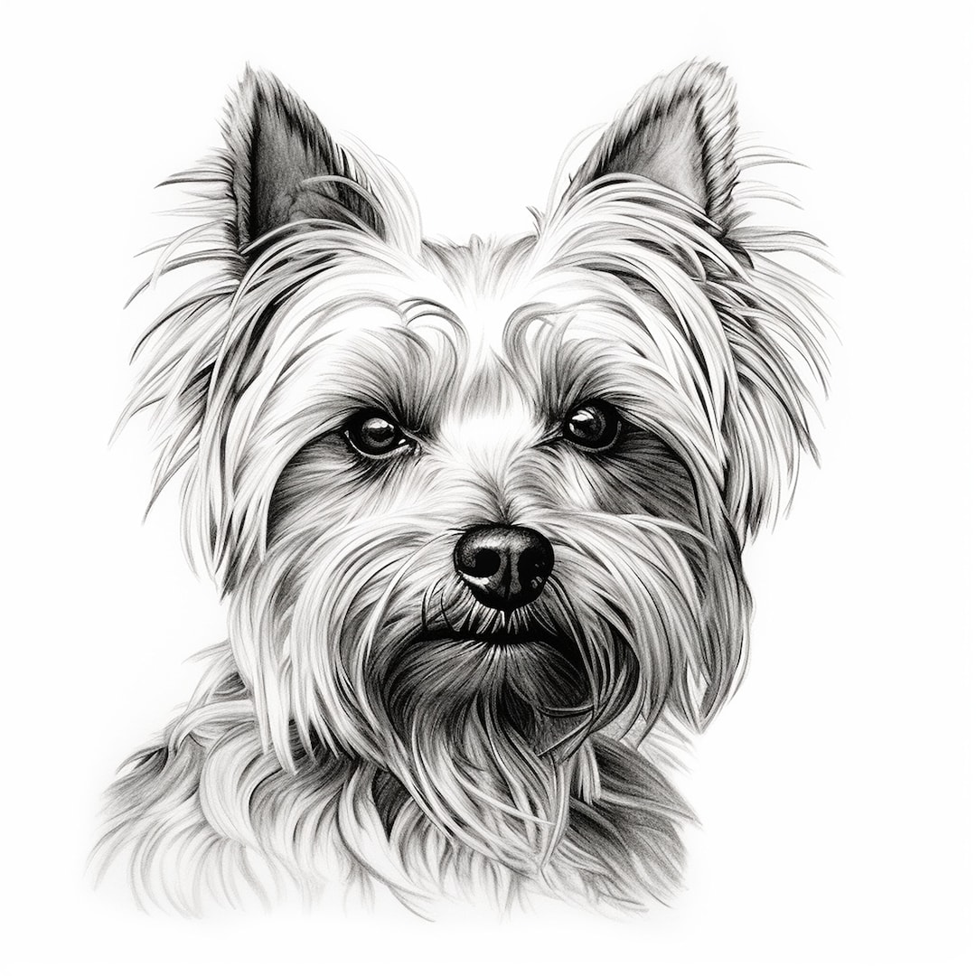 Yorkie Fine Line Dog Pet Portrait, Printable Animal Clip Art for ...