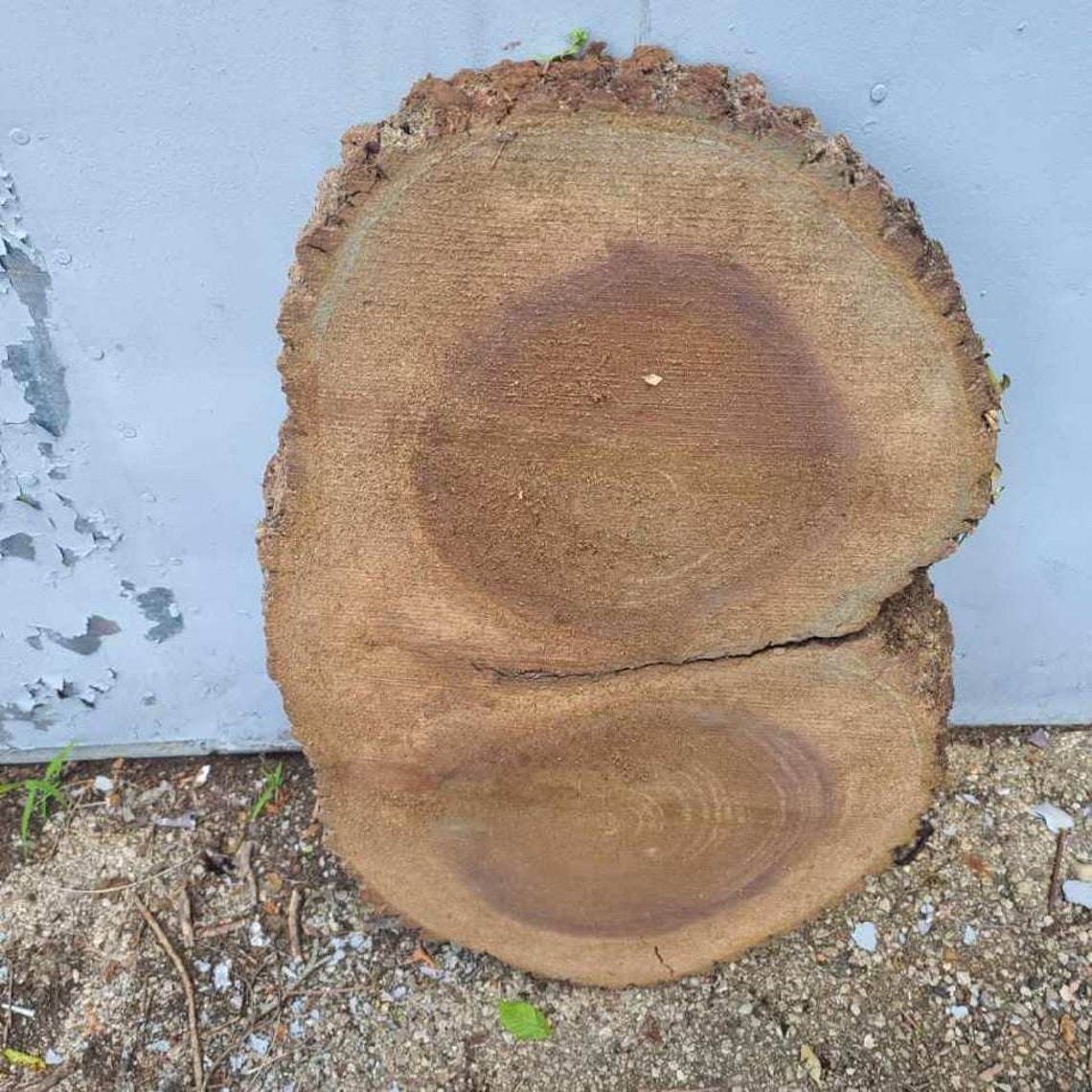 Nature's Elegance: Black Walnut Rounds Collection - Etsy