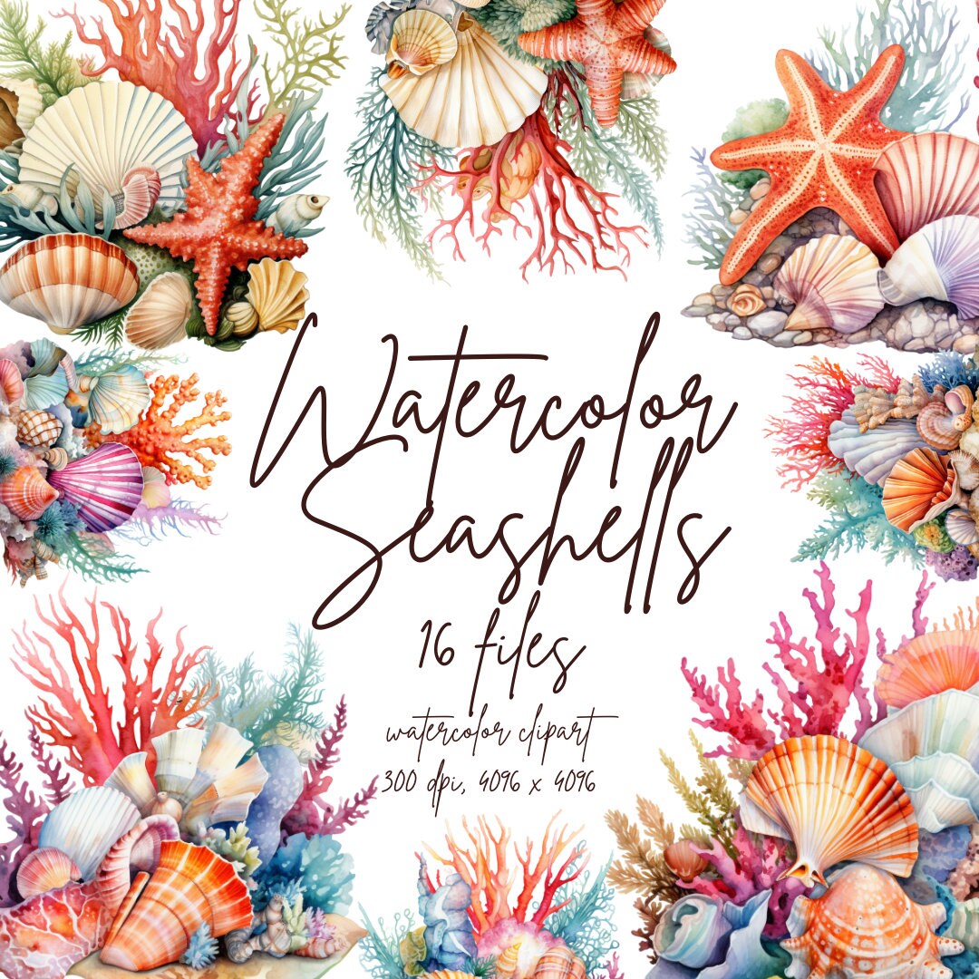 Watercolor Seashell Clipart Sea Clipart Nautical Clipart Shell PNG ...