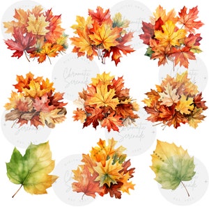 Watercolor Autumn Leaves Clipart Fall Foliage Clipart Maple Leaf ...