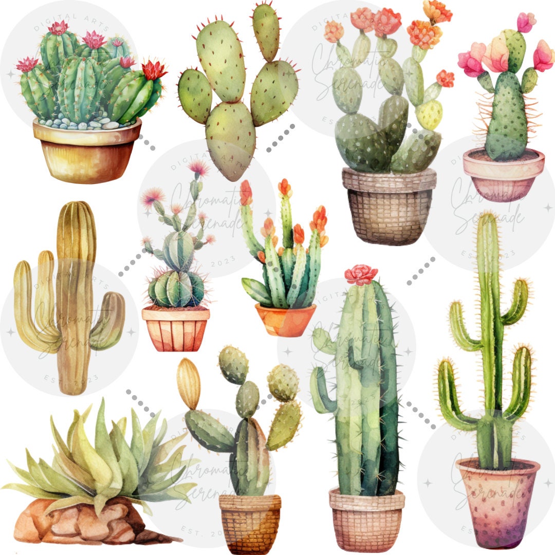 Watercolor Cactus Clipart, Succulent Floral Cactus Clipart, Summer ...