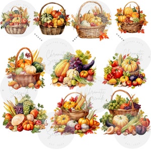 Watercolor Autumn Harvest Clipart Fall Foods Clipart Fall Vegetable ...