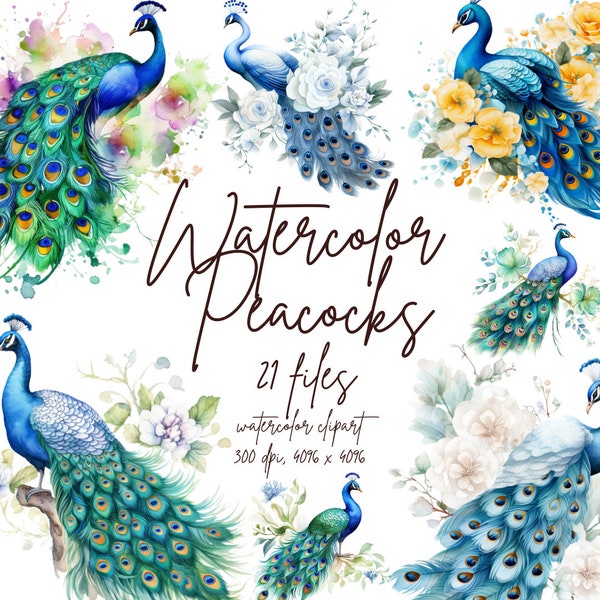 Peacock Clipart - Etsy