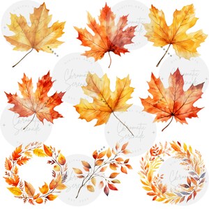 Watercolor Autumn Leaves Clipart Fall Foliage Clipart Maple Leaf ...