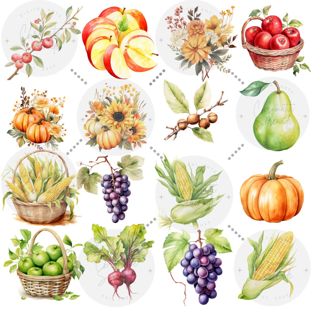 Watercolor Autumn Harvest Clipart Fall Foods Clipart Fall Vegetable ...