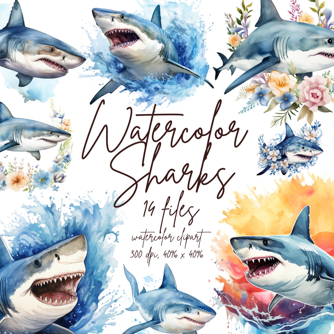 Watercolor Sharks Clipart Floral Shark Graphics Ocean Animals PNG Sea ...