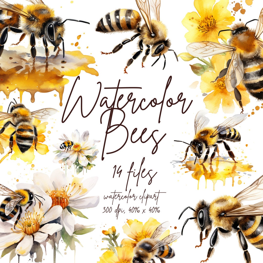 Watercolor Bee Floral Clipart Bees With Flowers Clipart Honey Bee ...