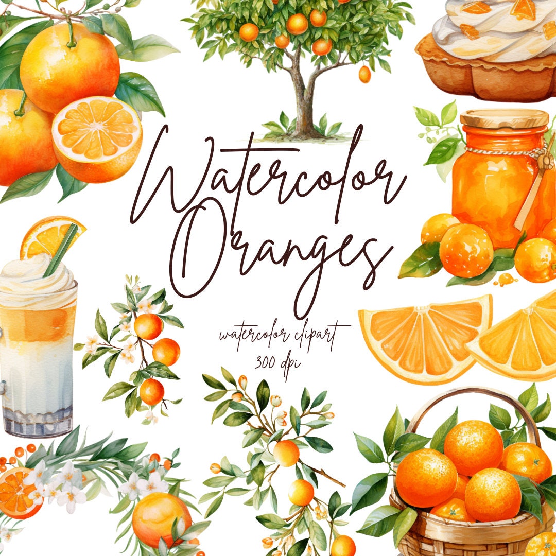 Watercolor Oranges Clipart, Orange Fruit Clipart, Fruit Clipart Set ...