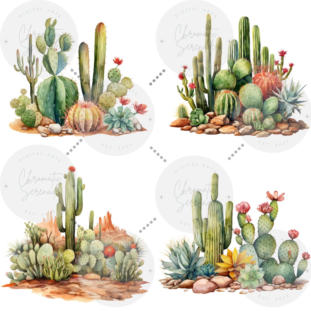 Watercolor Cactus Clipart, Succulent Floral Cactus Clipart, Summer ...