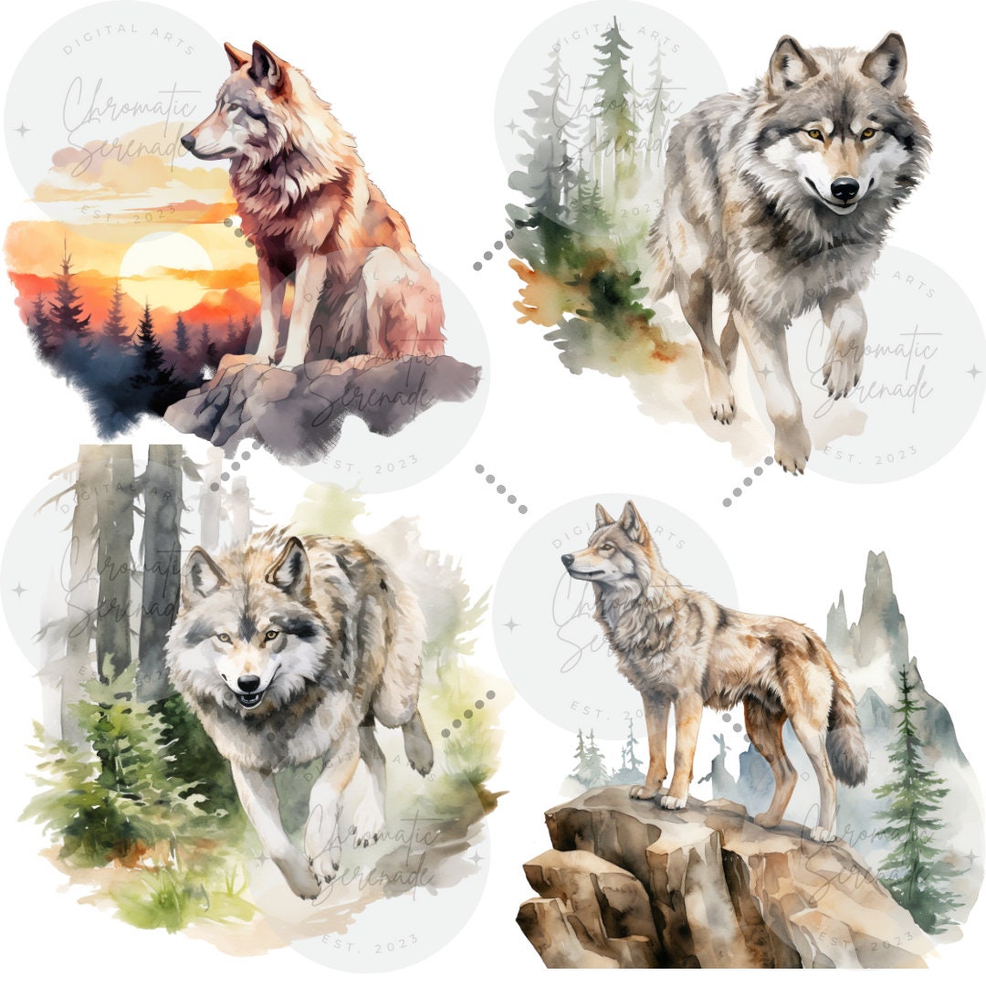 Watercolor Wolf Clipart Wolves Graphics Grey Wolf PNG Woodland Animals ...