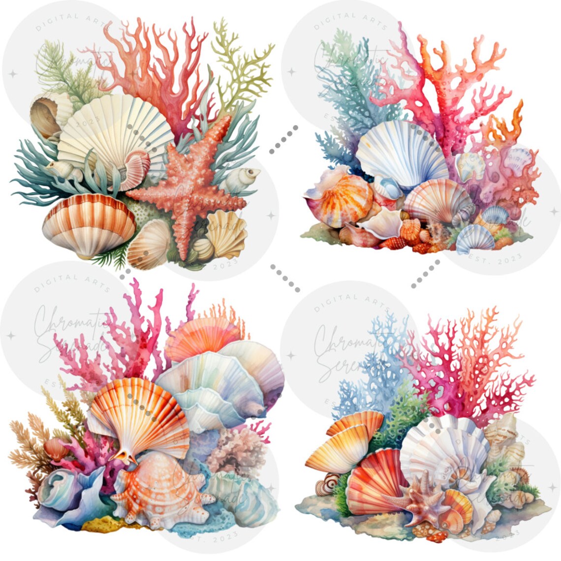 Watercolor Seashell Clipart Sea Clipart Nautical Clipart Shell - Etsy
