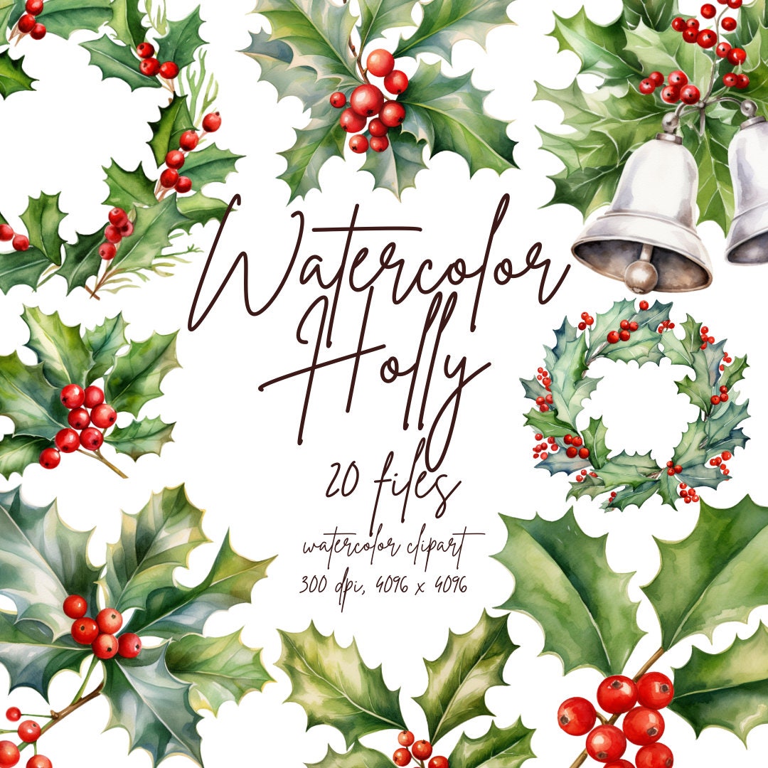 Watercolor Holly Clipart Christmas Bouquets Clipart Holly Berry PNG ...