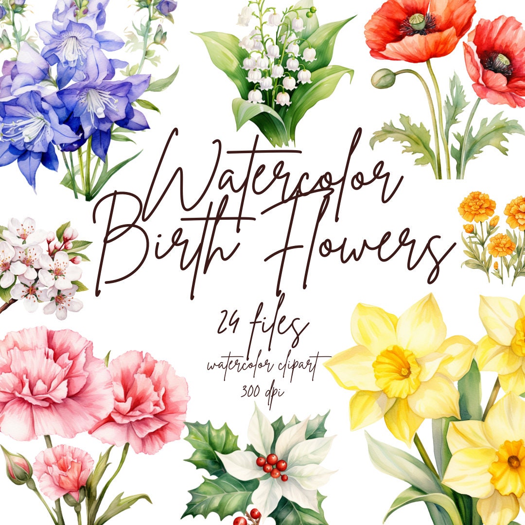 Birth Flower Clipart Birth Month Flowers Clipart Watercolor Birth Month ...