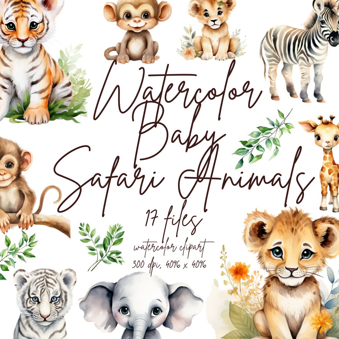 Watercolor Baby Safari Animal Clipart Safari Animals PNG Baby Shower ...