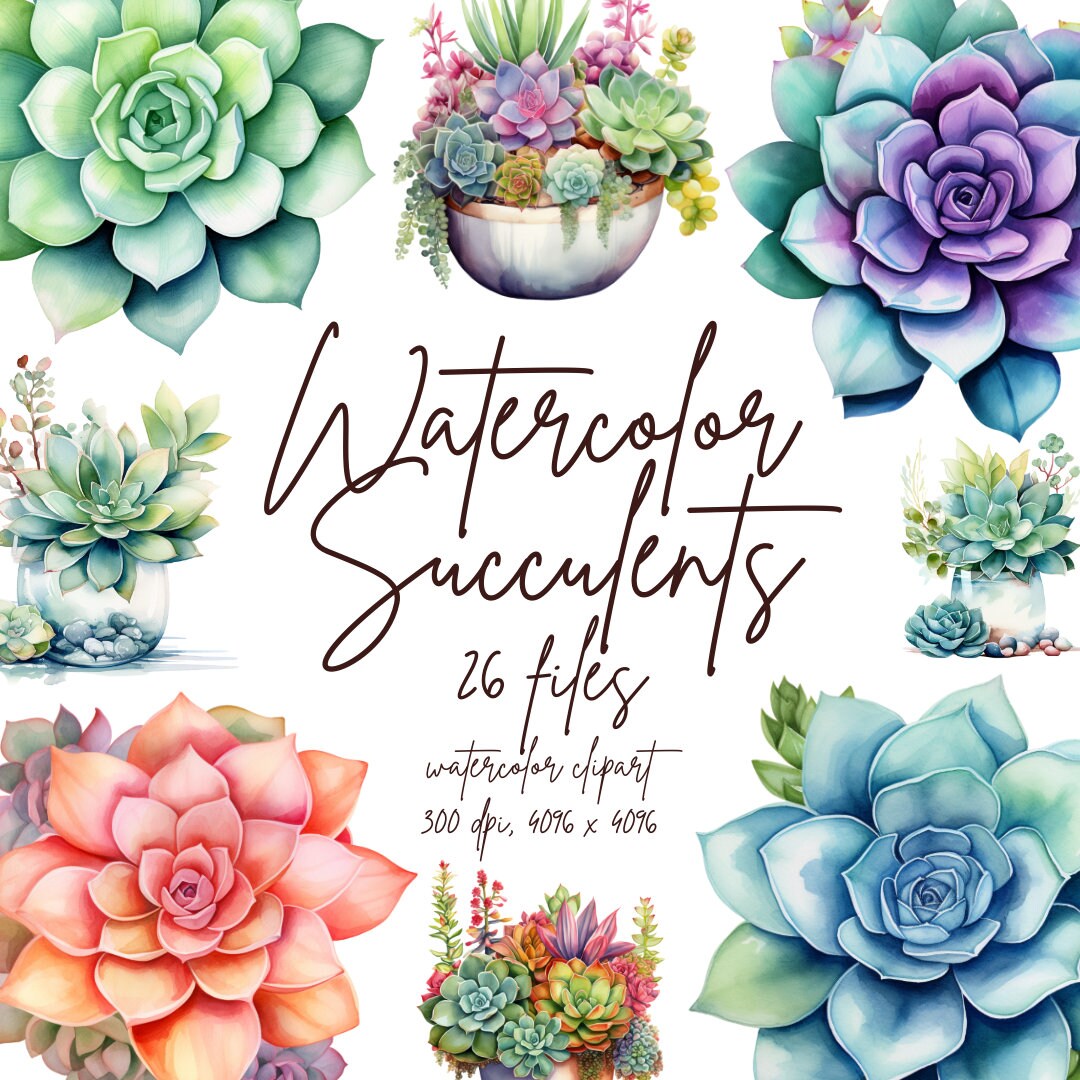 Watercolor Succulent Clipart Succulents Clipart Cactus Clipart Desert ...