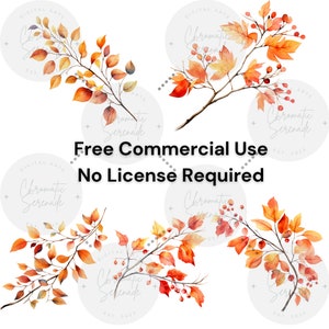 Watercolor Autumn Leaves Clipart Fall Foliage Clipart Maple Leaf ...