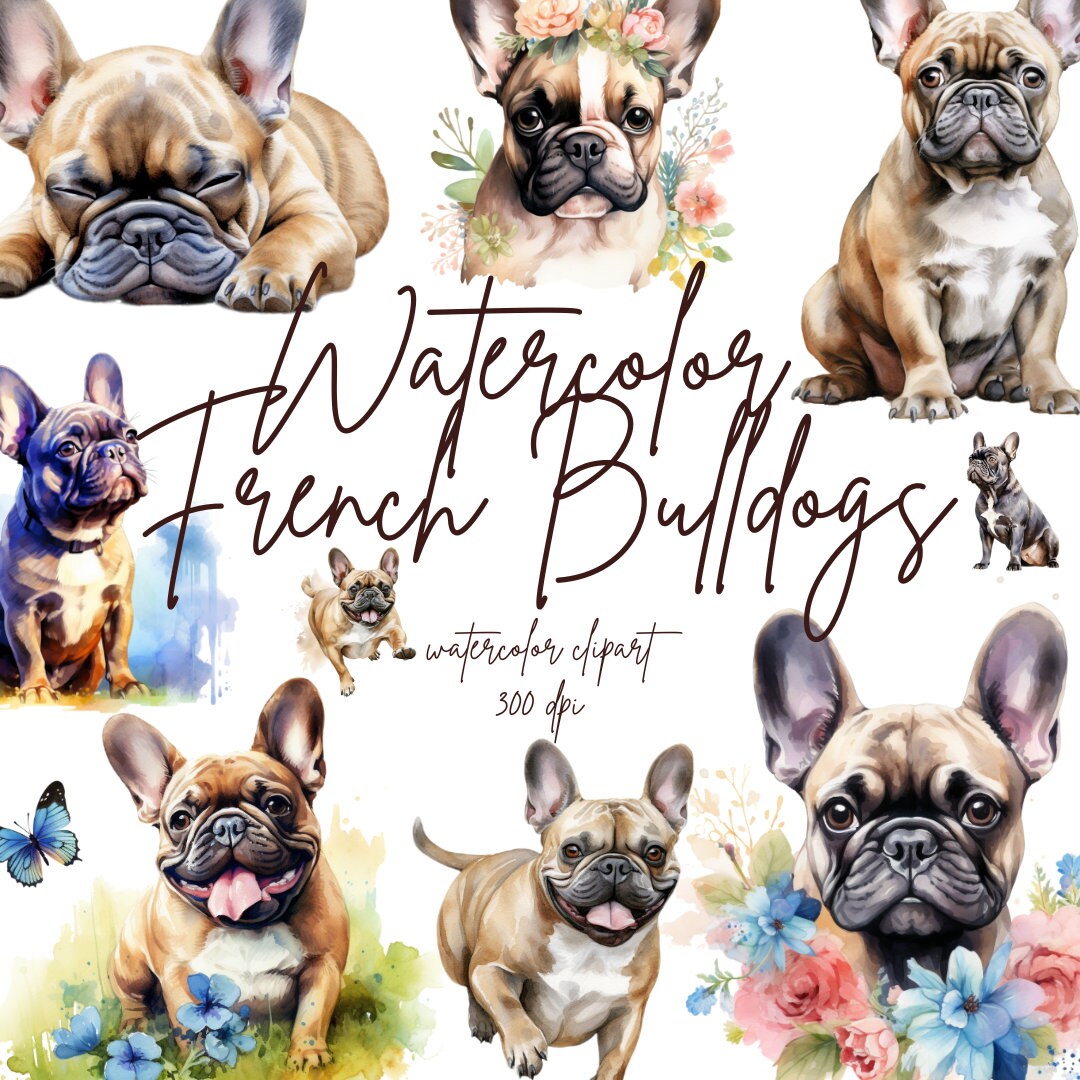 Watercolor French Bulldog Clipart, French Dog Clipart, Floral Dog ...