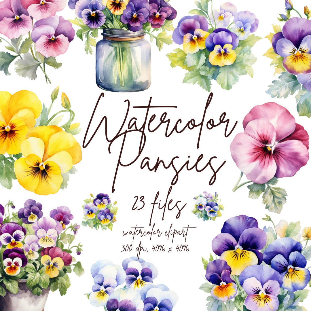 Watercolor Pansy Clipart Pansies Cute Pansy Flower Clipart Printable ...