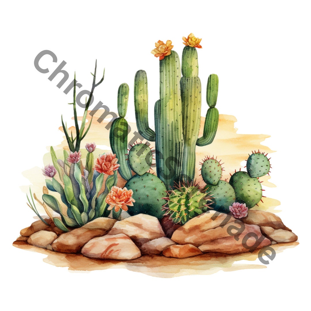 Watercolor Cactus Clipart, Succulent Floral Cactus Clipart, Summer ...