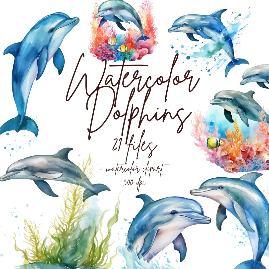 Watercolor Dolphins Clipart, Baby Dolphin Clipart, Watercolor Dolphins ...