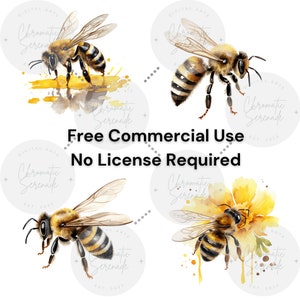 Watercolor Bee Floral Clipart Bees With Flowers Clipart Honey Bee ...