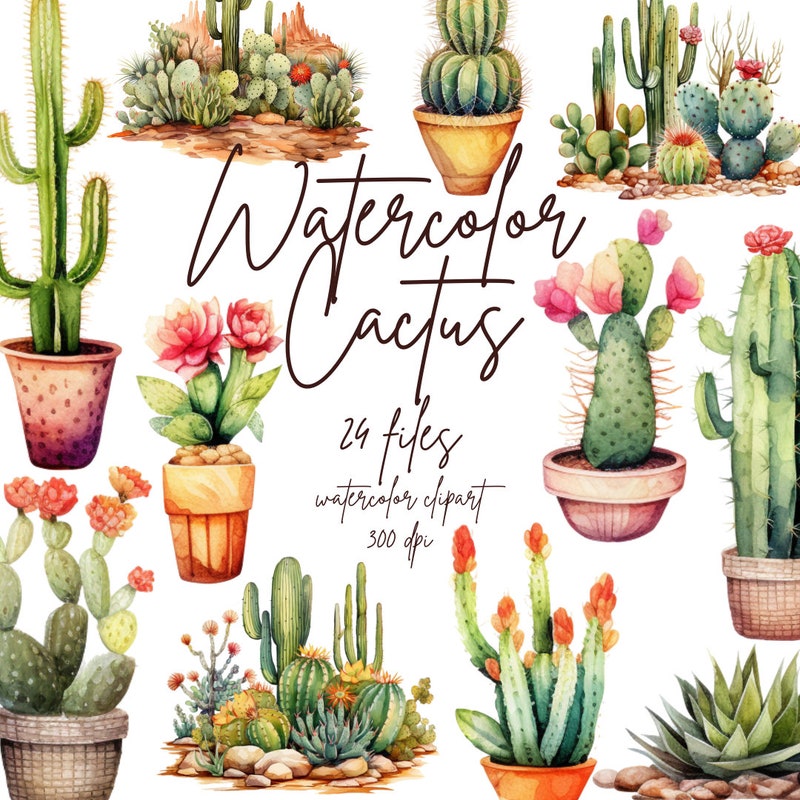 Cactus Clipart - Etsy