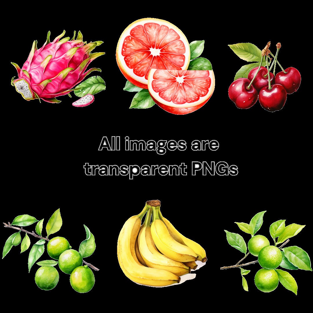 Watercolor Fruits Clipart Fruit Variety PNG Fruity - Etsy