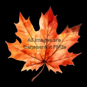 Watercolor Autumn Leaves Clipart Fall Foliage Clipart Maple Leaf ...