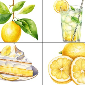 Watercolor Lemon Clipart, Fruit Clipart, Citrus Fruit Graphics ...