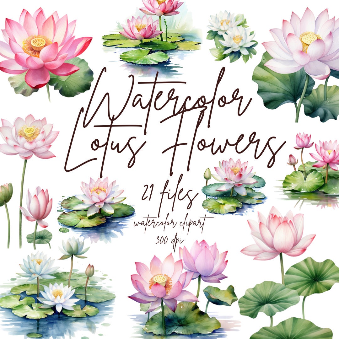 Watercolor Lotus Flower Clipart, Lily Pond Clipart, Floral Clipart ...