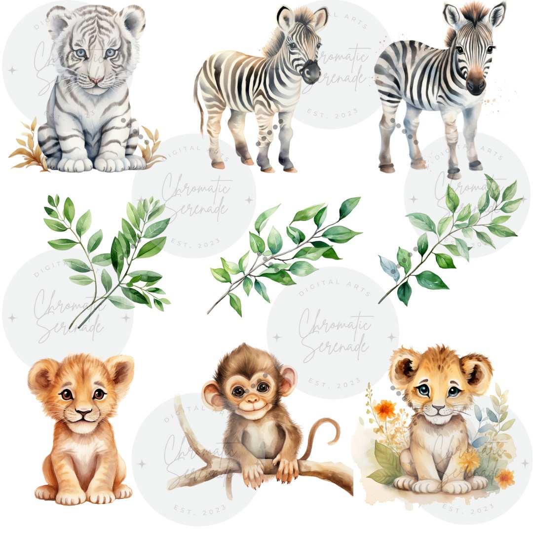 Watercolor Baby Safari Animal Clipart Safari Animals PNG Baby - Etsy