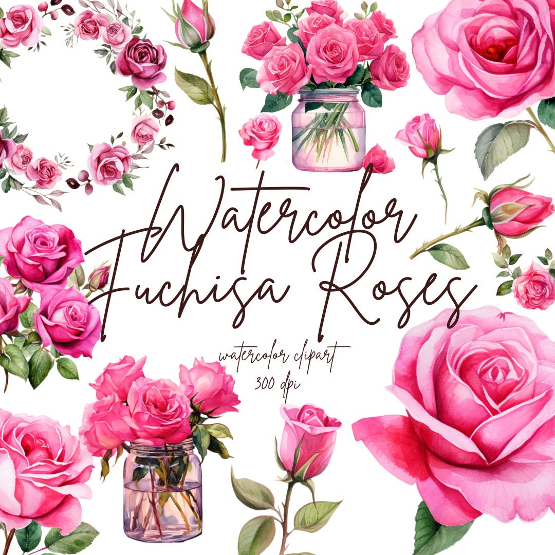 Watercolor Fuchisa Roses Clipart, Hot Pink Roses and Leaves Clipart ...