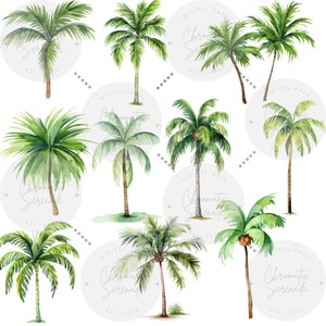 Watercolor Palm Trees Clipart, Tropical Island Clipart, Palm Tree ...