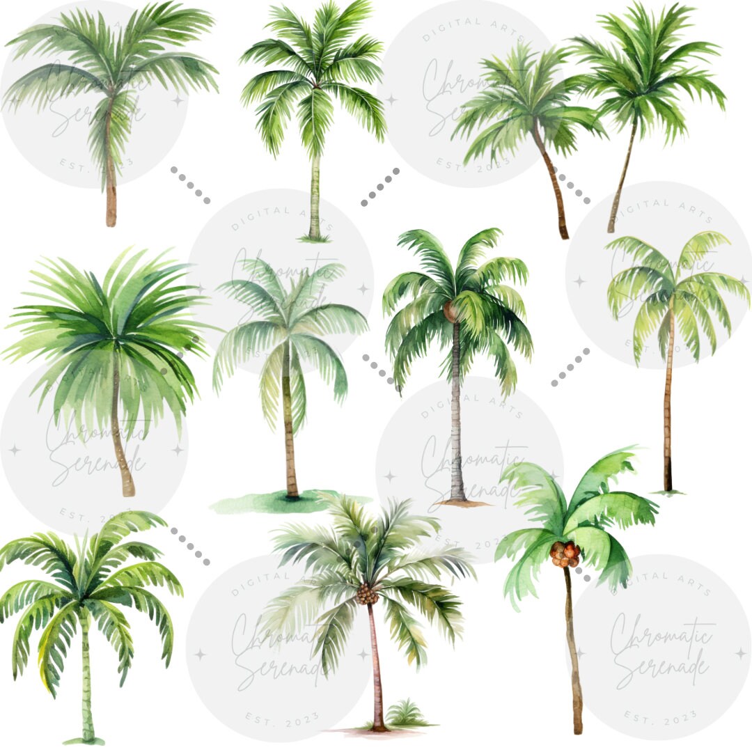 Watercolor Palm Trees Clipart, Tropical Island Clipart, Palm Tree ...