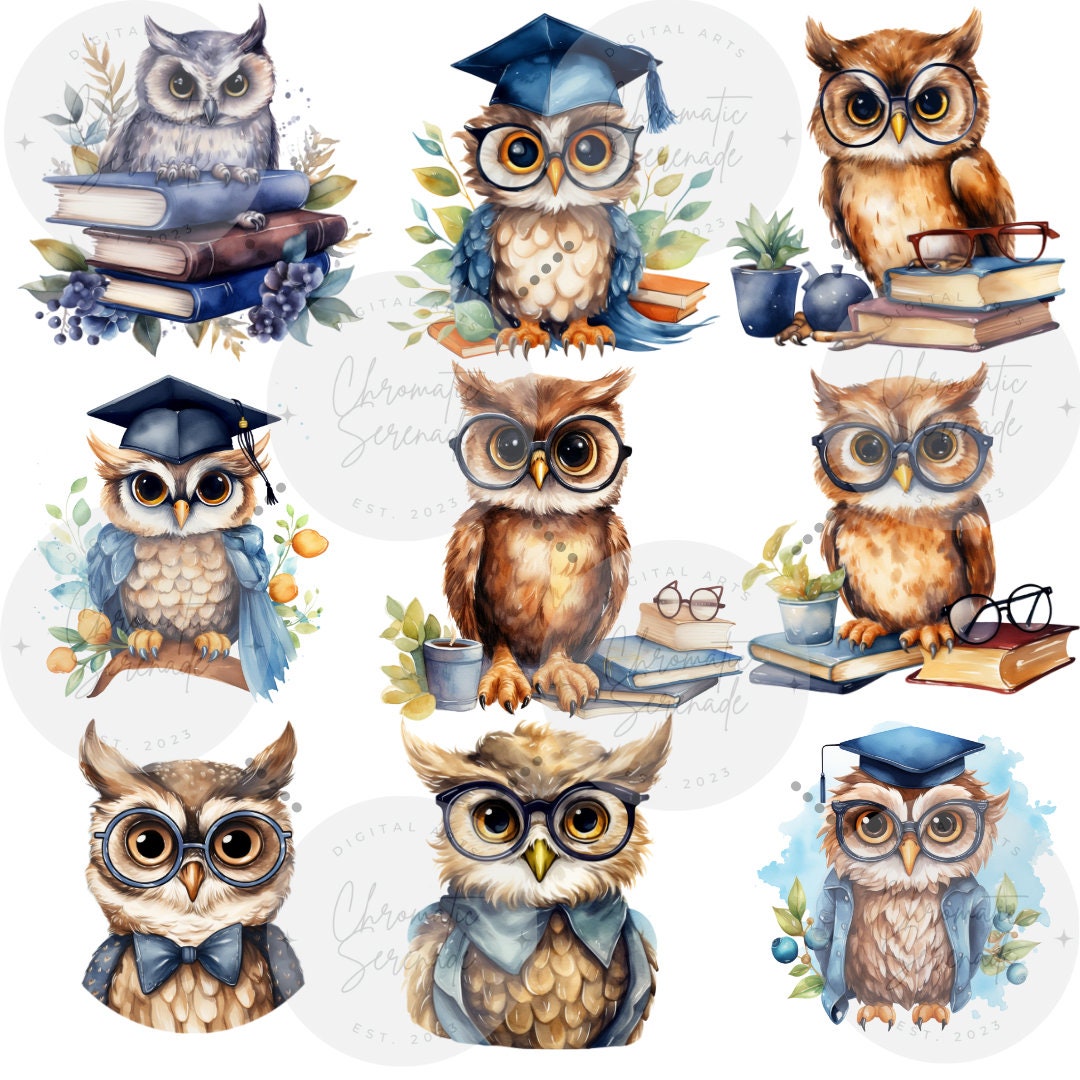 Watercolor School Owl Clipart Owl in School Clipart Back to School ...