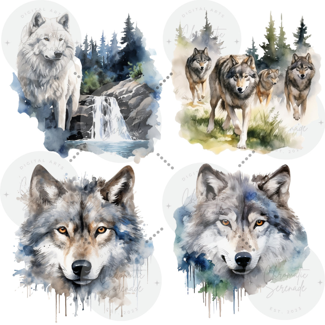 Watercolor Wolf Clipart Wolves Graphics Grey Wolf PNG Woodland Animals ... Watercolor Wolf Clipart Wolves Graphics Grey Wolf PNG Woodland Animals ...
