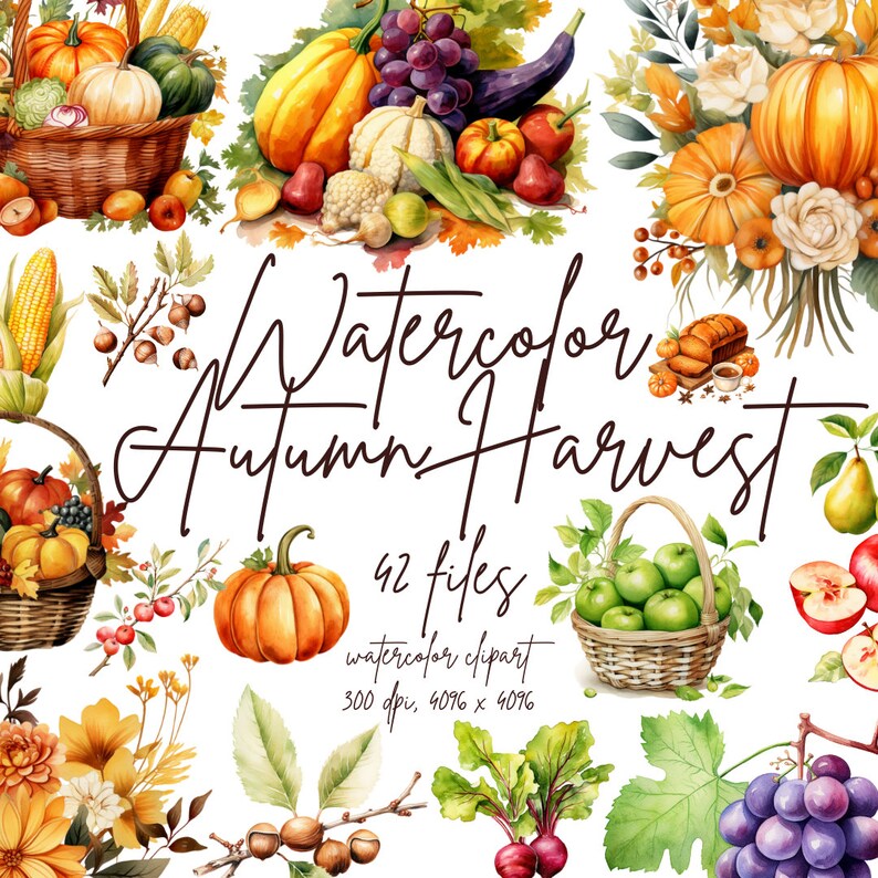 Watercolor Autumn Harvest Clipart Fall Foods Clipart Fall Vegetable ...