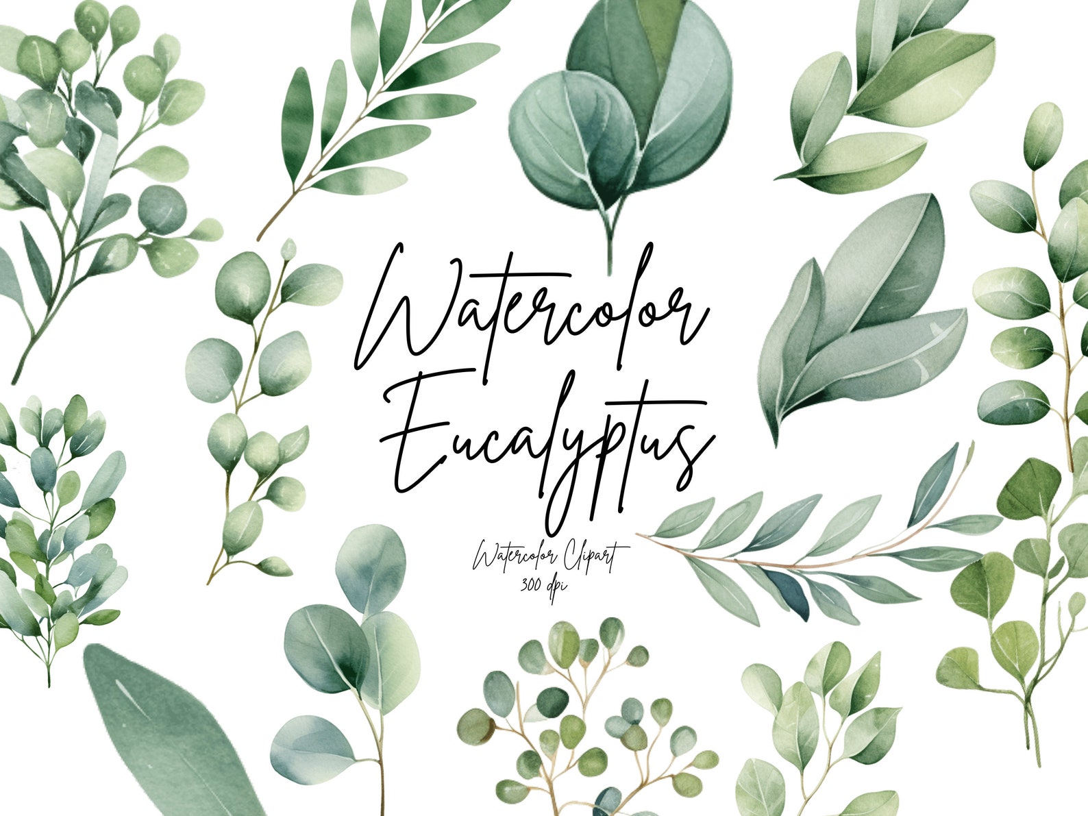 Eucalyptus Watercolor Clipart, Greenery Wedding Clipart, Eucalyptus ...