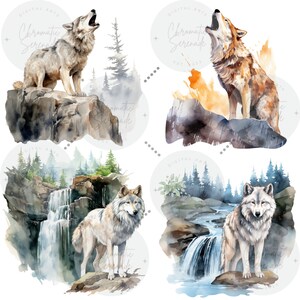 Watercolor Wolf Clipart Wolves Graphics Grey Wolf PNG Woodland Animals ...