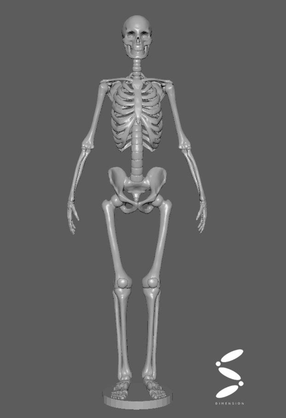 3D Skeleton Toy Figure: Full Body Model (STL File) - Etsy