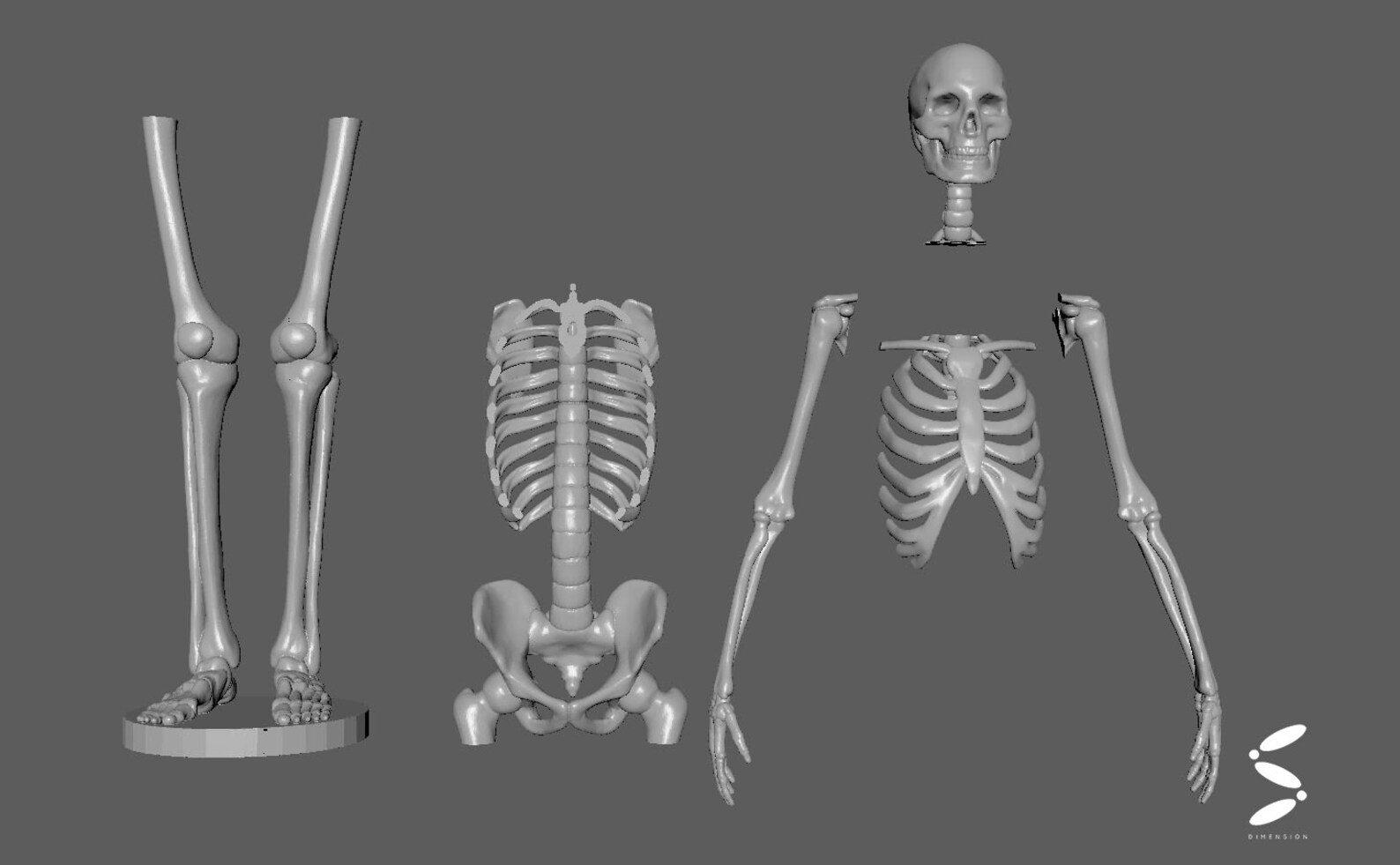 3d Skeleton Full Skeleton STL Figure 3D Printing Figure Toy Model STL ...