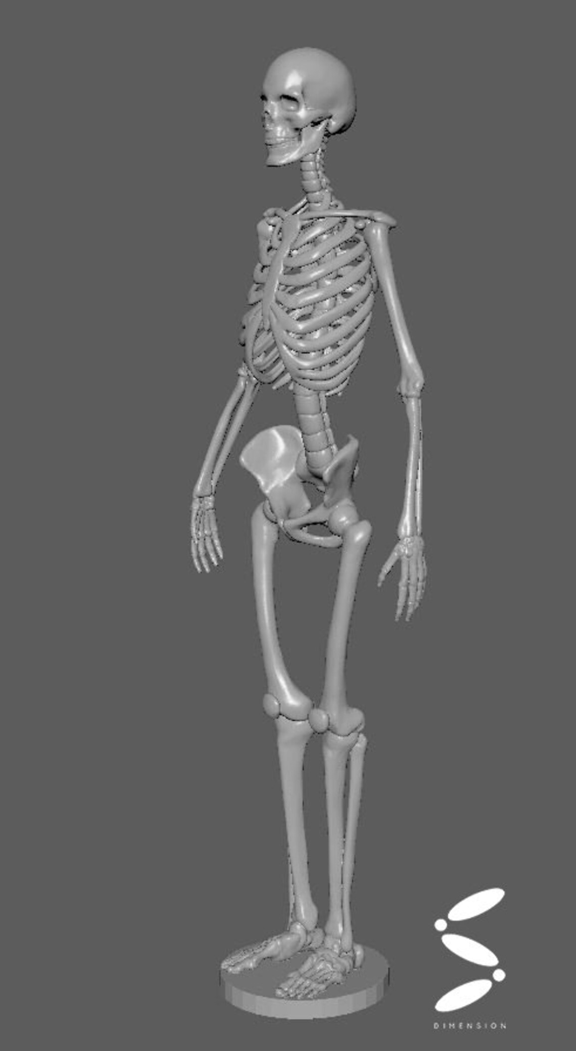 3d Skeleton Full Skeleton STL Figure 3D Printing Figure Toy Model STL ...