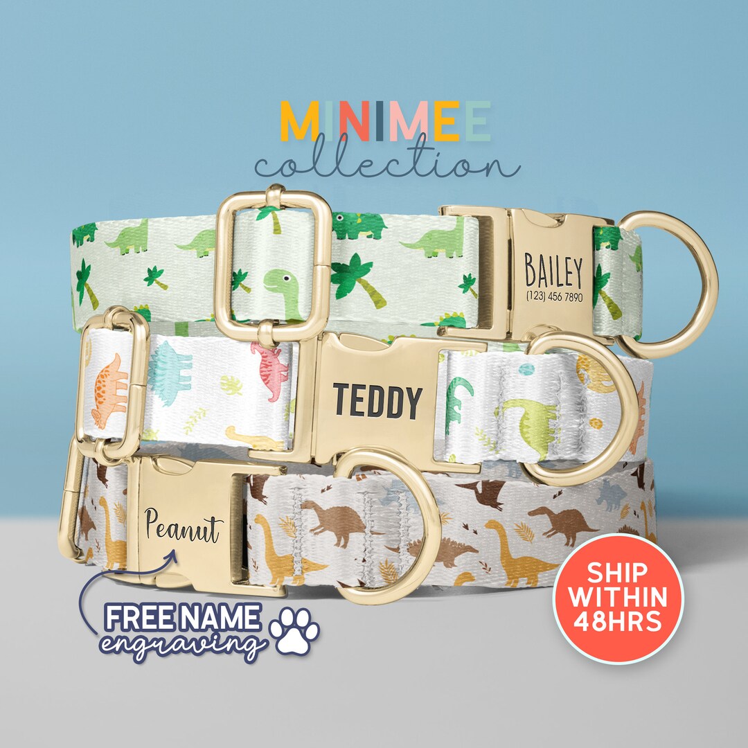 Cute Dinosaurs Personalized Dog Collar, Dino Custom Dog Collar With ...