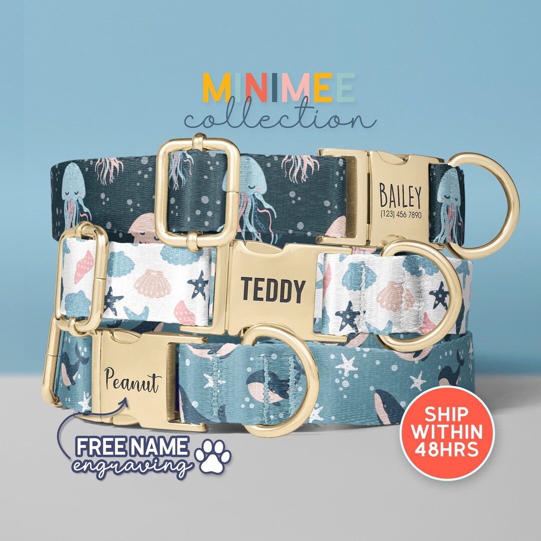 Dolphin Dog Collar, Custom Dog Collar With Name, Summer Dog Collar ...