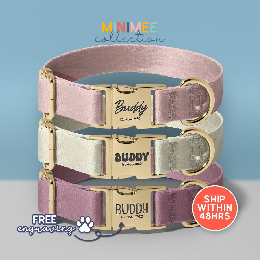 Personalized Pet Collar, Multiple Color Velvet Dog Collar Leash Set ...