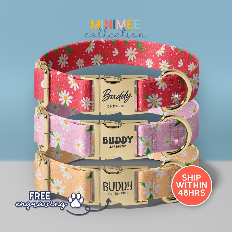Daisy Design Dog Collar - Etsy